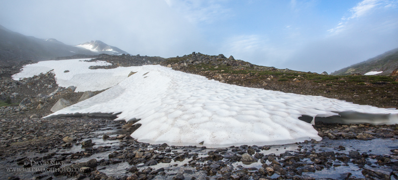 The Chilkoot Trail – Wild Imagination Journal